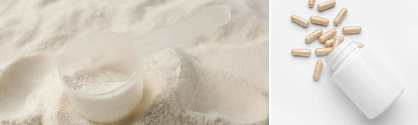 Collagène natif ou hydrolysé : quelles différences ? – Nujimé Laboratoires